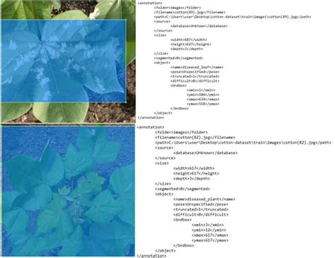 Diseased Leaf And Plant Image Annotations Download Scientific Diagram