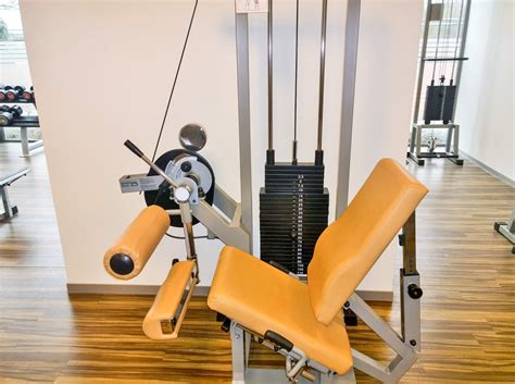 Technogym Leg Curl Fitness De Bataaf