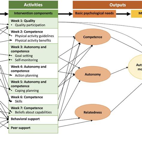 The Logic Model For The Spinal Cord Injury Sci Step Together Program Download Scientific