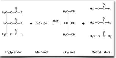 Solved H C O 8 R H2C O C R1 H2C OH Base H C O C R2 Chegg Com
