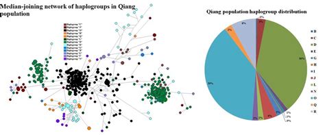 The Median Joining Network Of The Predicted Haplogroups In Qiang People