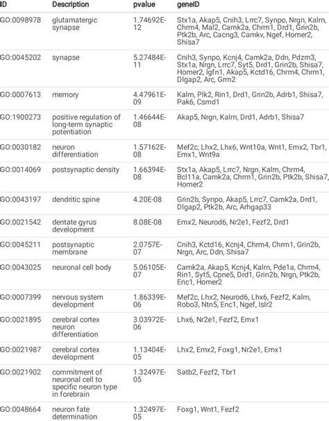 Results Of Go Analysis Related To Brain Development Download
