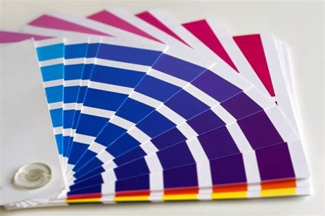Best Color Palette Generators Even Beginners Can Use
