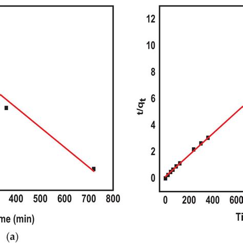 The Fitting Of Experimental Data To Pseudo First Order Model A And