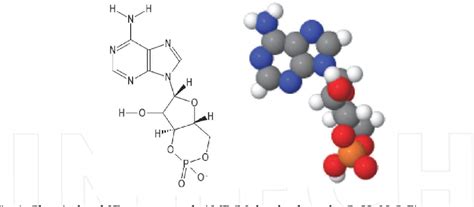 Figure 1 From Cyclic Nucleotides And Nucleotide Cyclases In Plant Stress Responses Semantic
