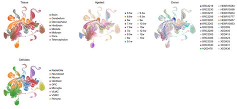 2 Reference Matching Tutorial — Atac Mapper