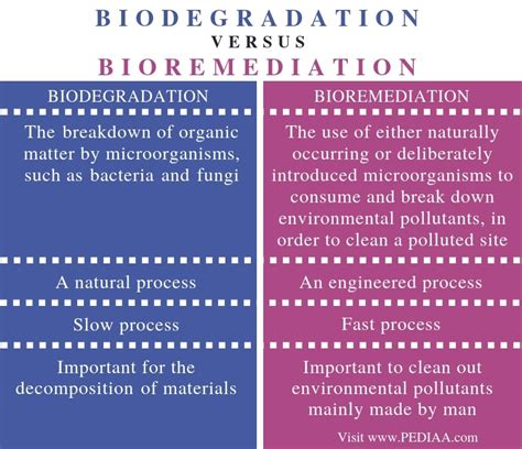 What Is The Difference Between Biodegradation And Bioremediation Pediaa Com