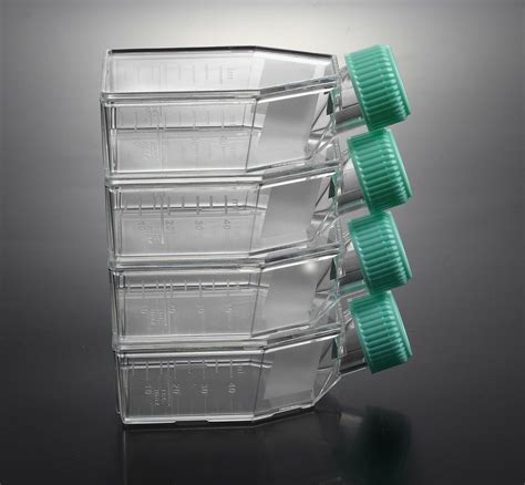 Tissue Culture Flasks 250 Ml Surface Treated Plug Seal Cap 100