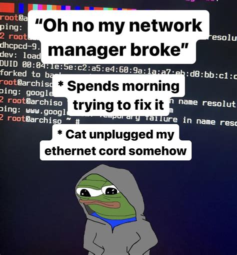 meow r programmingmemes