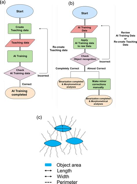 The Methodological Flow Charts Of Artificial Intelligence Ai Driven