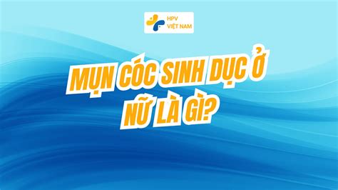 Mụn Cóc Sinh Dục Nữ Là Gì Cách điều Trị Chuẩn Y Khoa