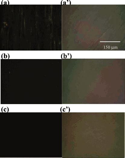 4 Optical Micrographs Of Liquid Crystal Alignment Taken Between Download Scientific Diagram