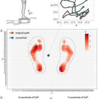 A The ASO Lace Up Brace And B The Active T2 Hinged Brace Download Scientific Diagram
