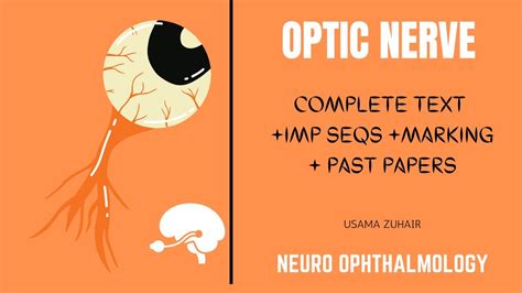 Optic Nerve Ophthalmology Text Past Papers Optic Nerve Pathway