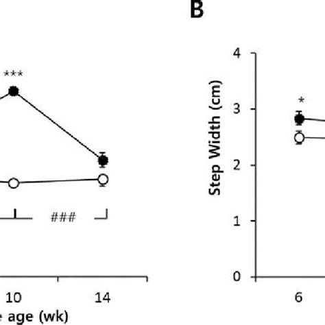 Motorator System And Description Of Parameters For Mouse Gait Analysis