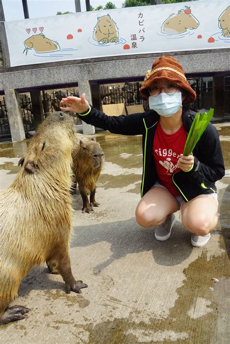 Dsc05643 小方 Flickr