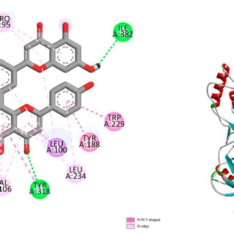 Displays The Docking Outcomes Of Hiv 1 Reverse Transcriptase In Download Scientific Diagram