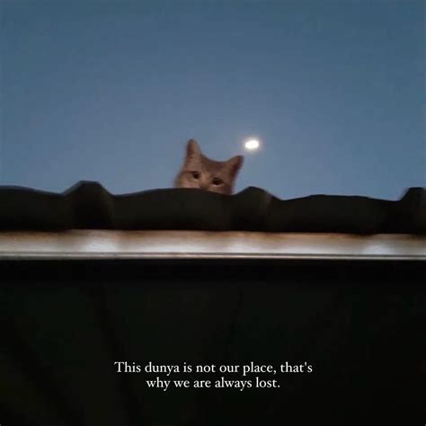 Citizen Psa Certificates With Qr Codes Qr Coded Psa Birth Certificate Get Your Qr Coded Psa