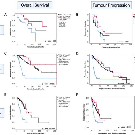 Tp53 Hotspot Mutations In Codon 273 A R273c C817ct B R273h