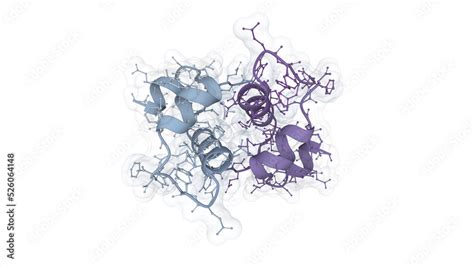 3d Structure Of A Synthetic Human Insulin Analogue Stock Illustration