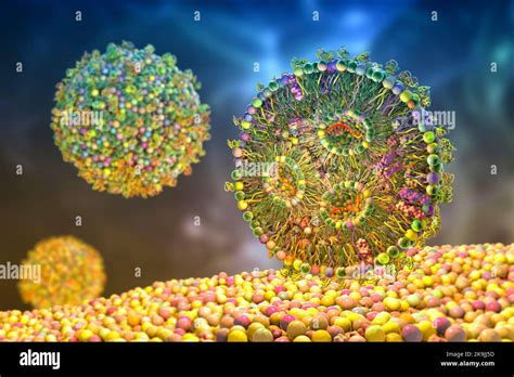 Lipid Nanoparticle MRNA Vaccine Illustration Stock Photo Alamy