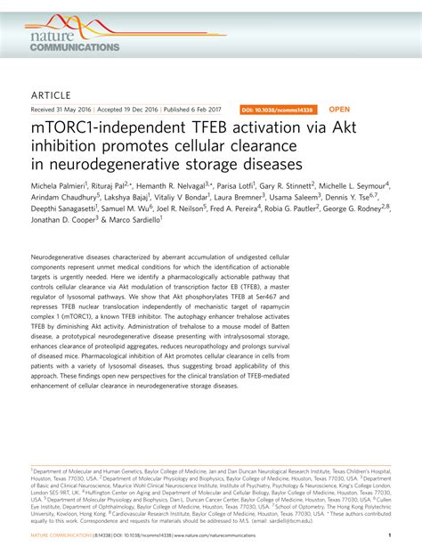 Pdf Mtorc1 Independent Tfeb Activation Via Akt Inhibition Promotes