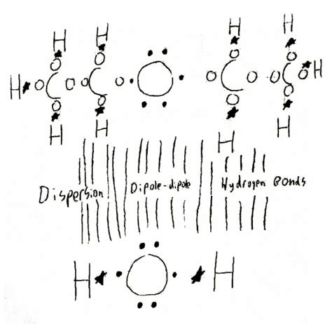Lewis Structure The Diethyl Ether Molecule