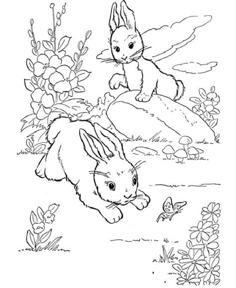 Printable Two Little Rabbits Coloring Page Free Download And Print