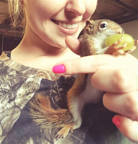 Classic Daisys Homepage On