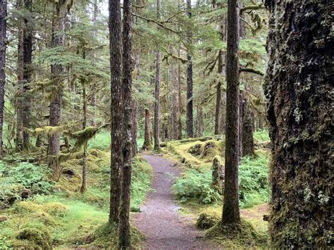 Top 7 Hikes And Walks In Glacier Bay National Park Komoot