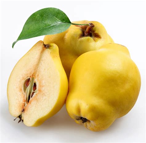 Membrillo Tipos Y Su Uso En La Cocina