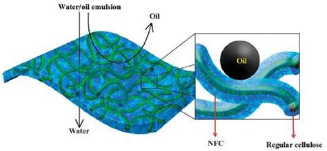 Figure 1 From Advances In Cellulose Based Superabsorbent Hydrogels Semantic Scholar