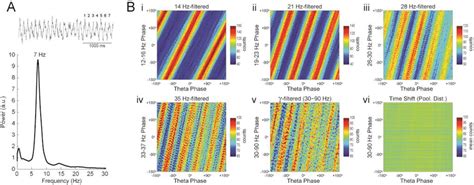 Phase Phase Coupling Between Theta And Gamma Oscillations Is 700