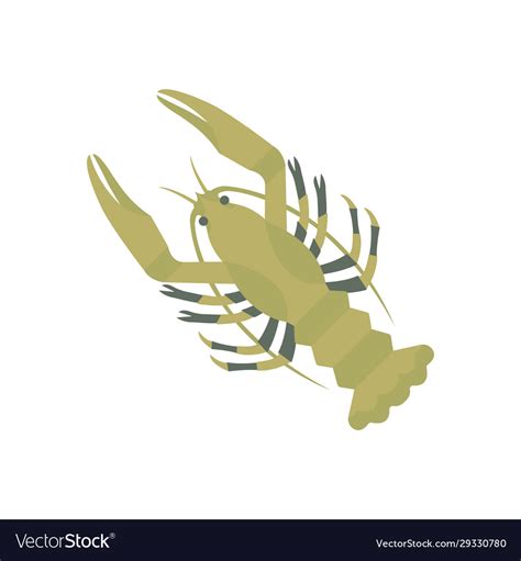 Crayfish Royalty Free Vector Image Vectorstock