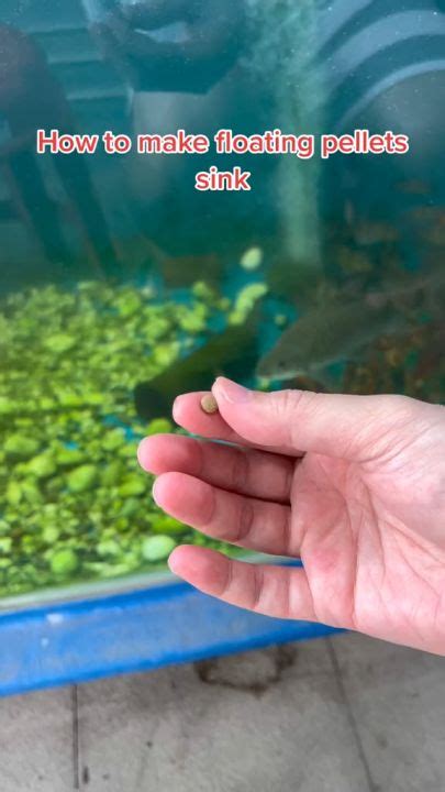 1kg Green Red Floating Pellets Pellet For Koi Goldfish Fish Food Pet