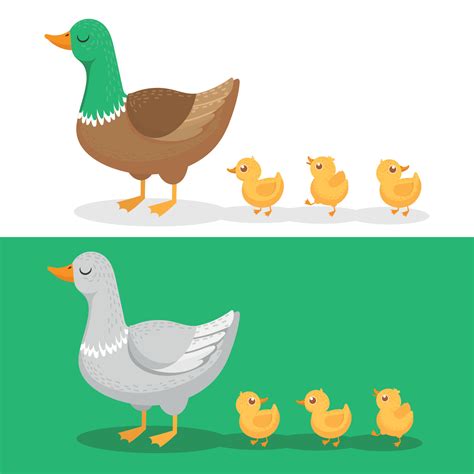 Ducklings Following Mother