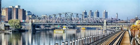 Pest Control Exterminators In The Bronx 24 Hour Emergency Care