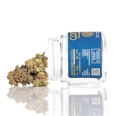 Lemon Cherry Gelato X Gelato 33 California Artisanal Medicine
