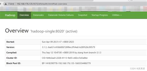 hadoop启动后没有datenode进程的解决办法 hadoop启动jps缺少datanode csdn博客