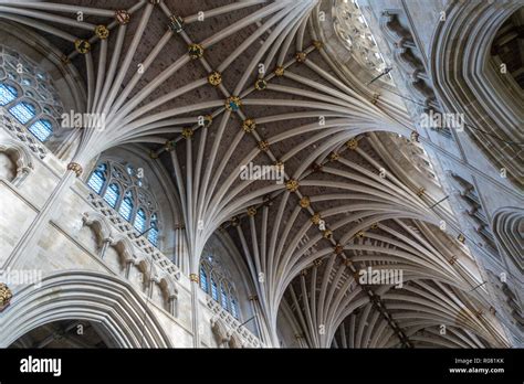 Gothic Vaulted Ceiling Cathedral Vaulted Ceiling Embracing The Past