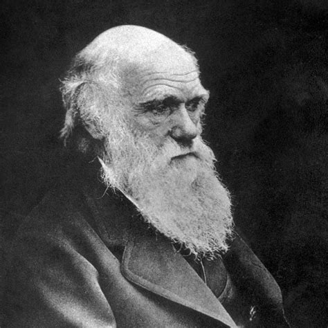 Charles Darwin Hintergrundbilder 42 Bilder