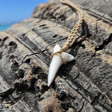 Maui Paia Shark Tooth Necklace Surfer Necklace Beach Jewelry Charm