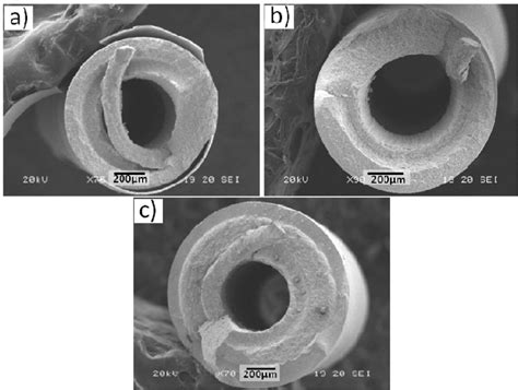 Scanning Electron Microscopic Micrographs Of Cross Section View Of