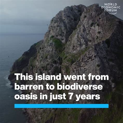 Affi E Agbenyo On Linkedin We Are Capable Of More