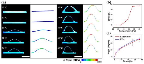 密苏里大学林见课题组：刺激响应性三维组装及其在高空间分辨率传感器上的应用 中国聚合物网科教新闻