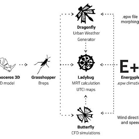 Scheme Of The Workflow Structure Source The Authors Download