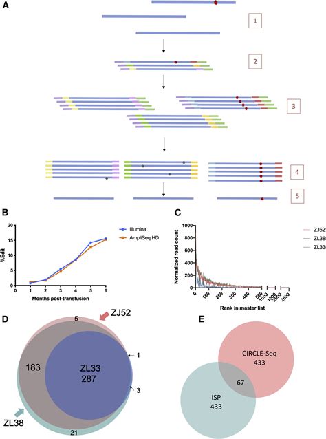 Prediction And Validation Of Hematopoietic Stem And Progenitor Cell Off