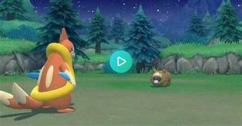 Floatzel Use Ice Beam Wait What  On Imgur