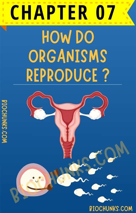How Do Organisms Reproduce Biology Notes Cbse Ncert