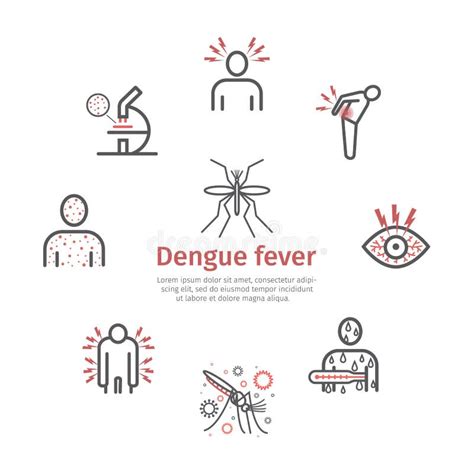Dengue Fever Line Icons Set Vector Signs For Web Graphics Stock